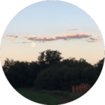 The Marico | Marico Biosphere Reserve