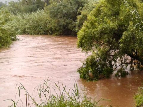 FAQs | Marico Biosphere Reserve