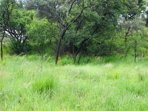 Marico River Conservation Association | Marico Biosphere Reserve